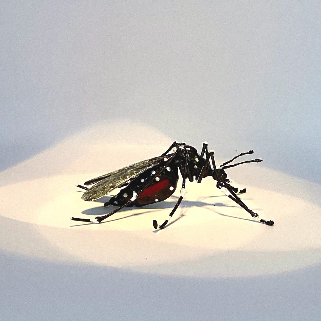 Hand-painted 3D Printed Aedes Mosquito Replica: Pest Control Model - Etsy