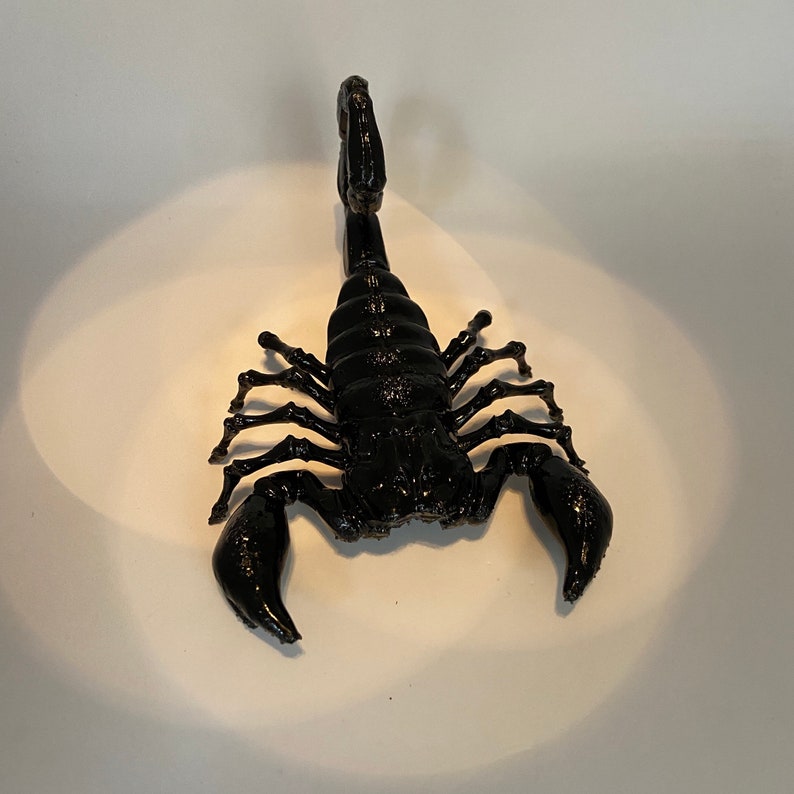 3D Printed 5 Inch Scorpion Replica: Real World Scale Photgrammetry ...