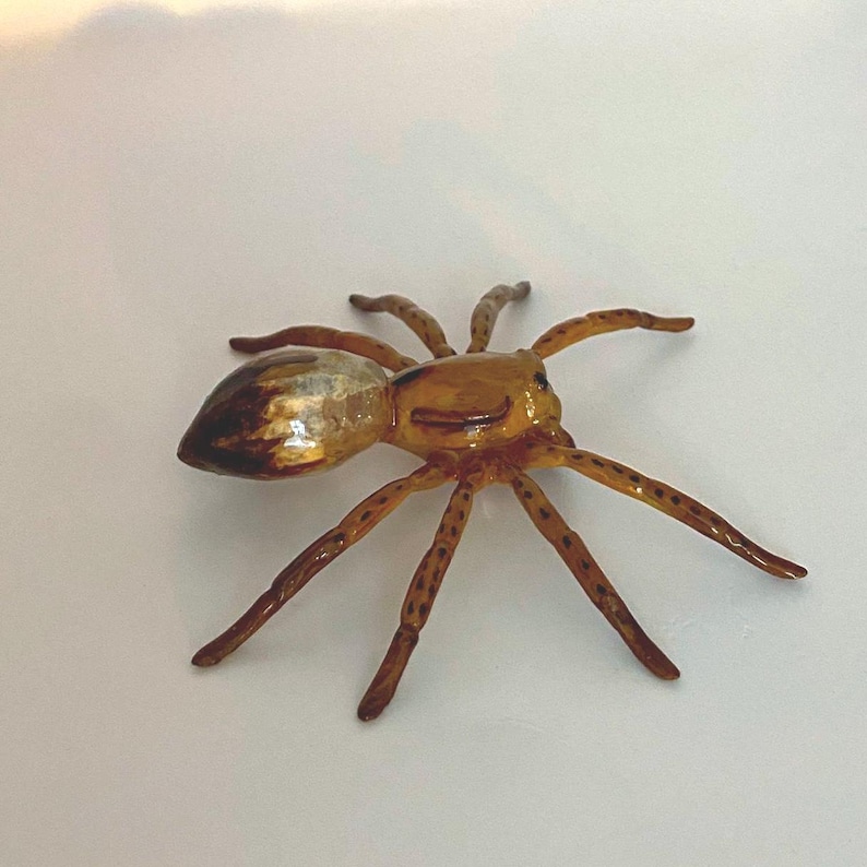 3D Wolf Spider Replica: Realistic 4 Inch Educational Model, Cottage ...