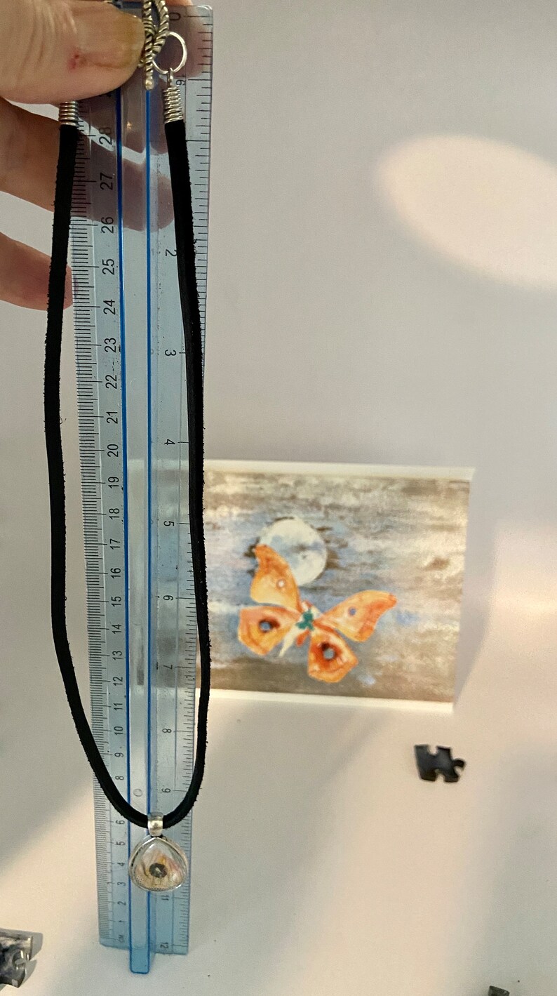 Real Polyphemus Moth Eye Wings Captured in Your Choice of 3 - Etsy