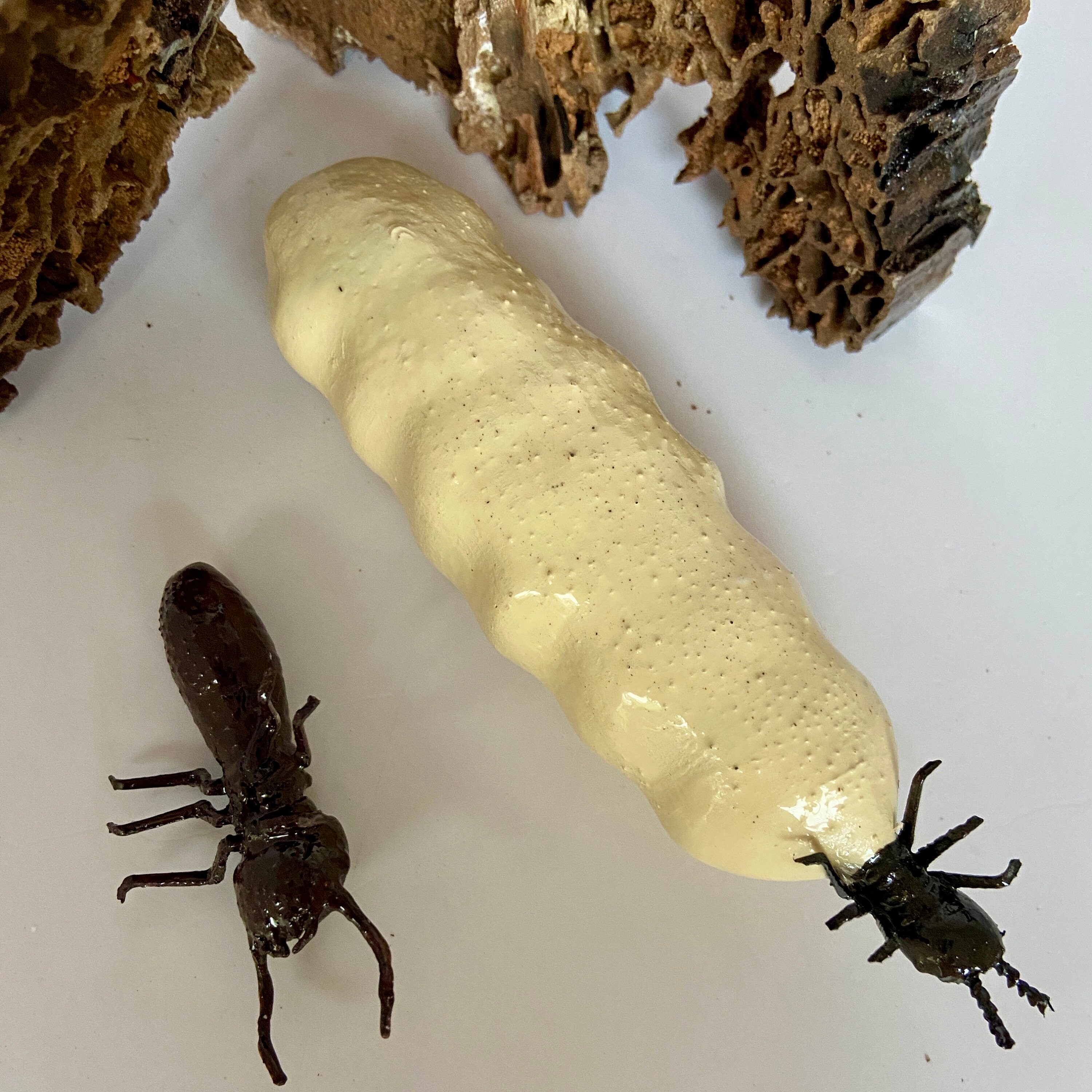 3D Printed Termite Queen and King Set: Hand-painted Educational Models ...