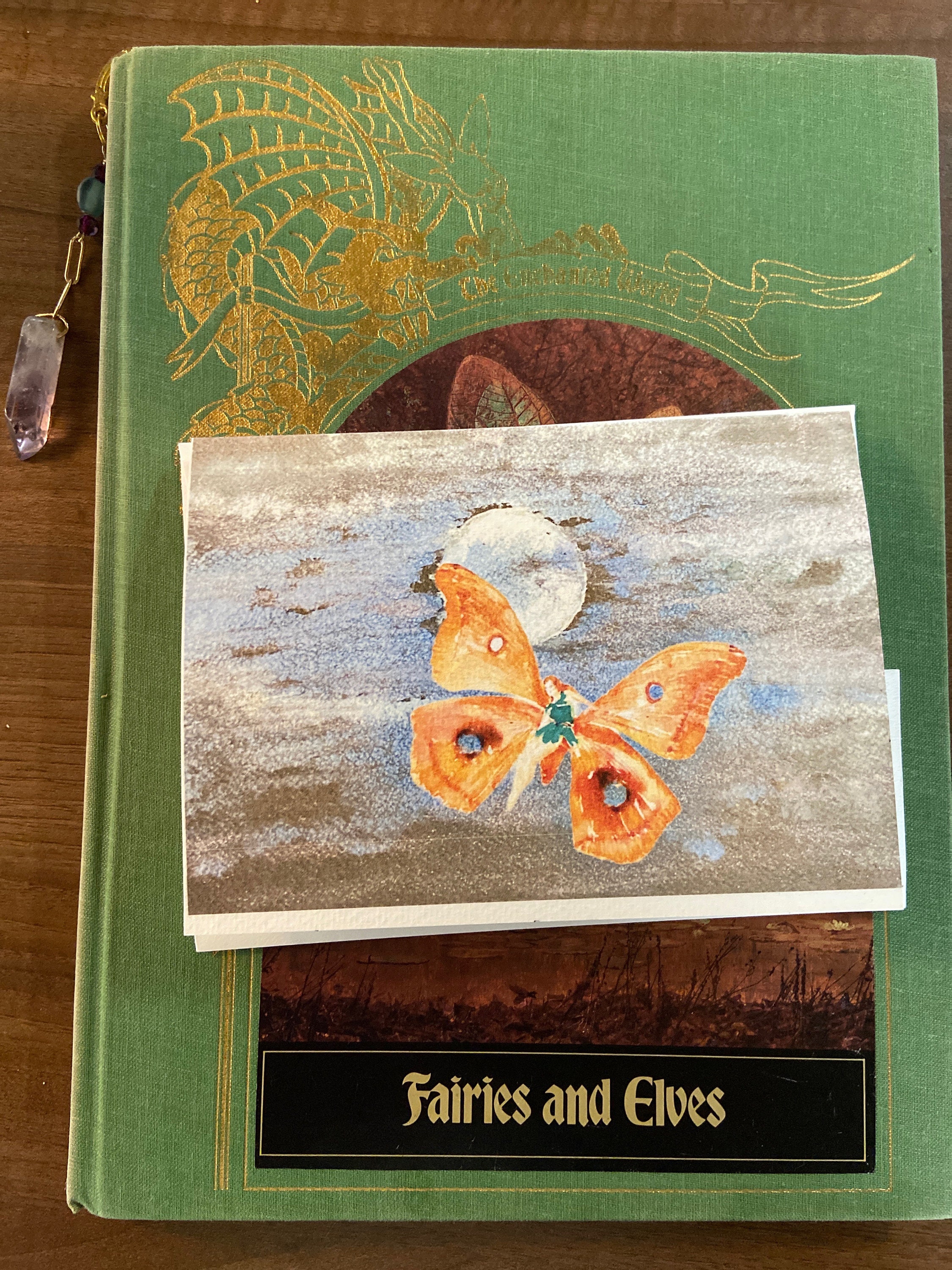 Real Polyphemus Moth Eye Wings Captured Under Glass Cabochon for ...