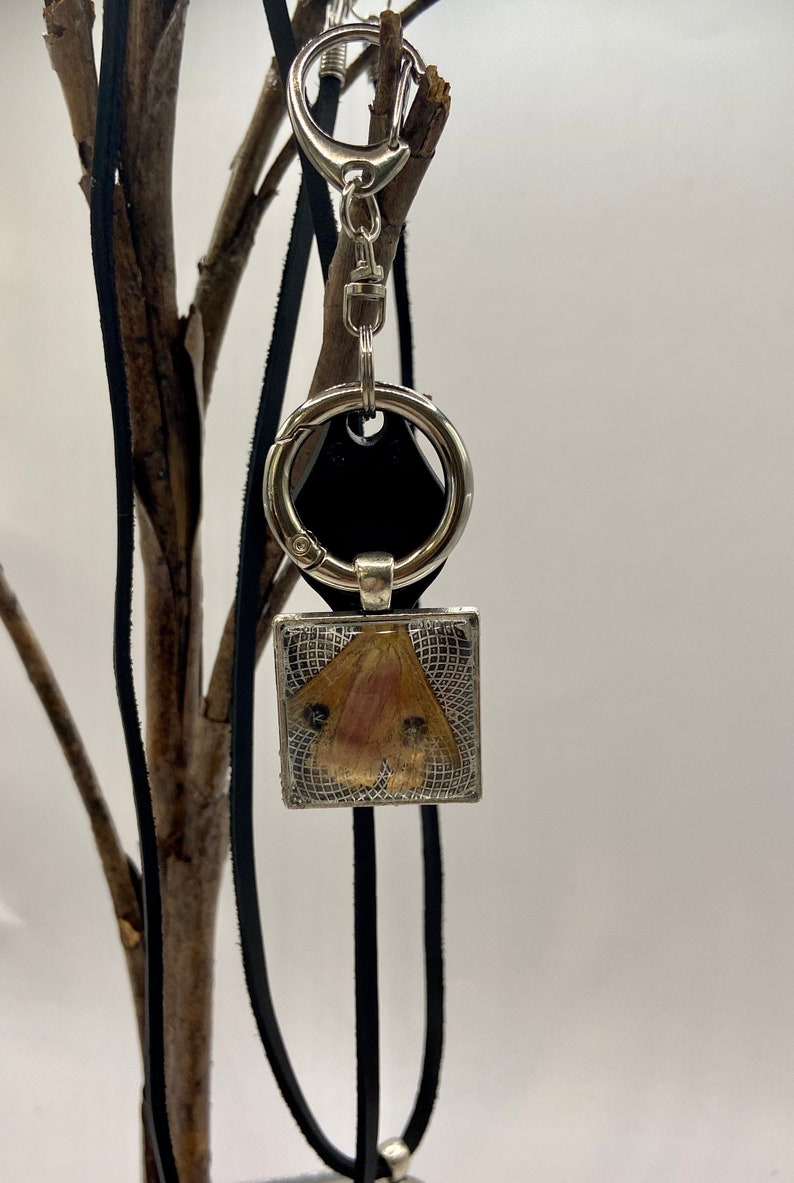 Real Polyphemus Moth Eye Wings Captured in Your Choice of 3 - Etsy