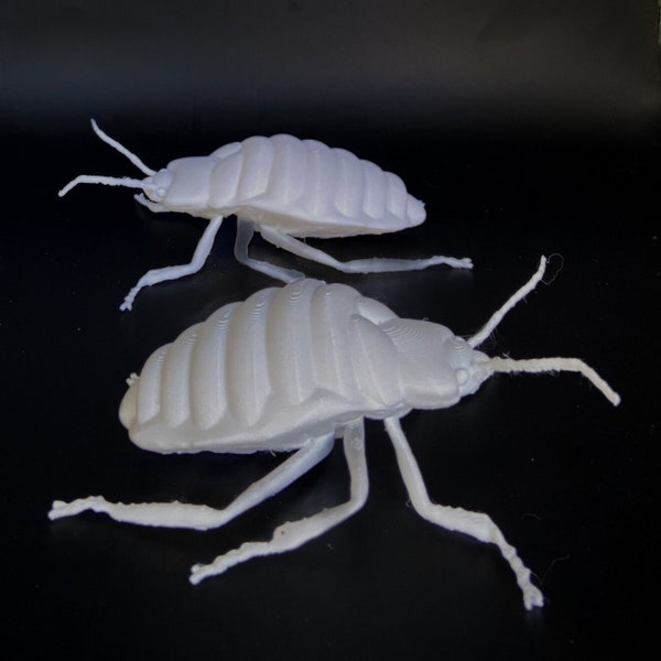 3d Printed Educational Models - Etsy