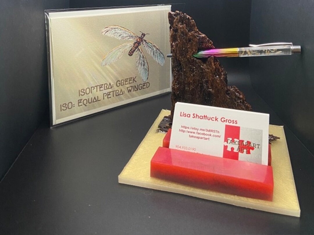 Termite Palm Wood Pen Stand With Removable Business Card Holder Desk ...