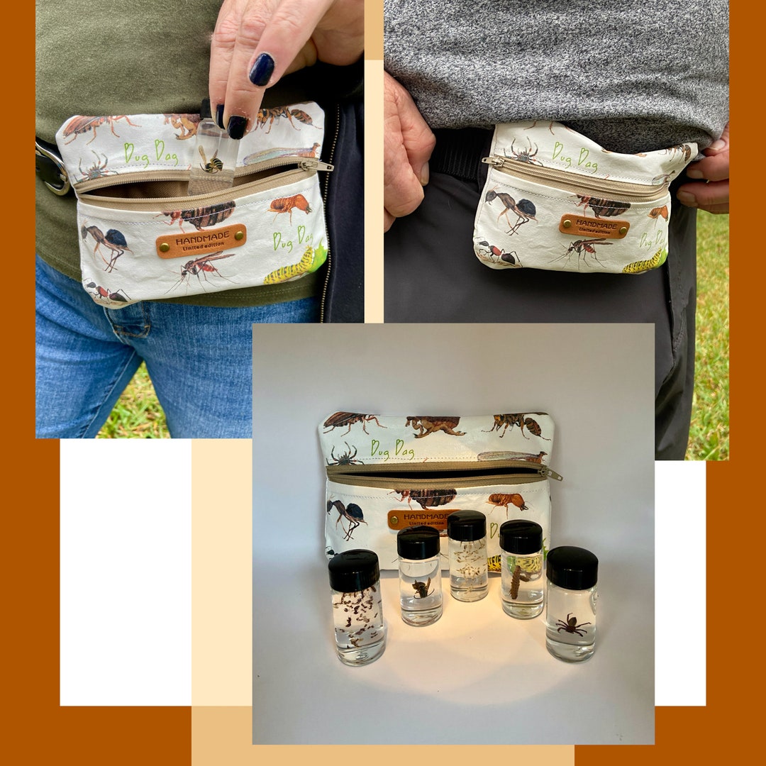 Original bug Bag With 5 Assorted Vials of Suspended Insects. Handmade ...
