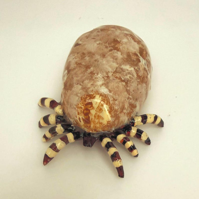 Hand-painted Engorged Wood Tick 3D Model, Entomology Display - Etsy