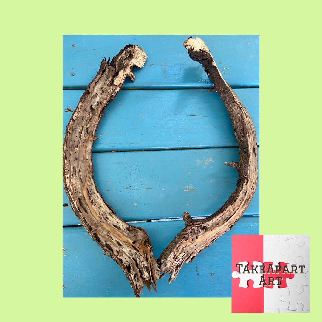 Rustic Live Edge Oak Craft Wood, 2 Pieces With Bark & Lichen- Natural ...