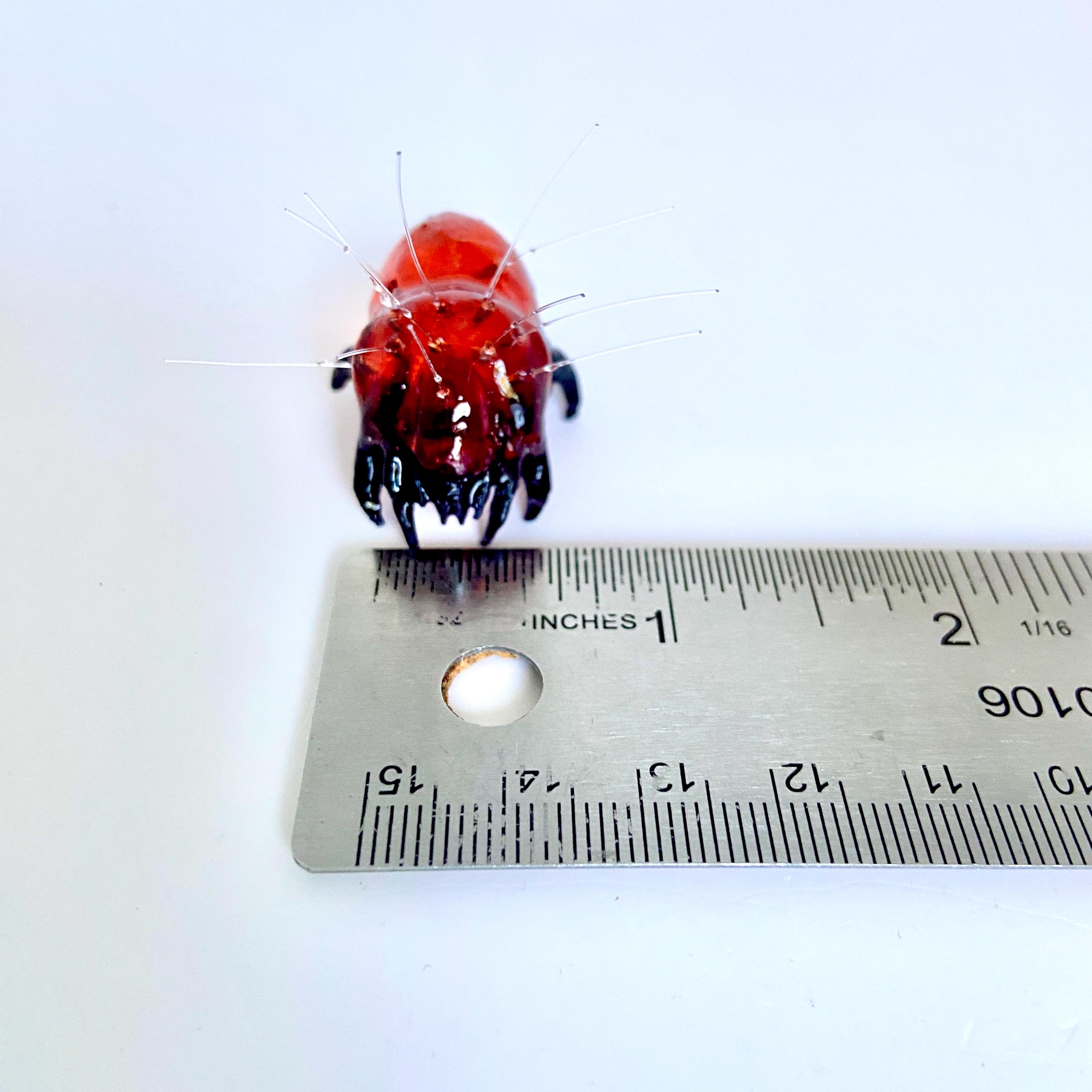 3D Printed Dust Mite Mini Model Set: Translucent Bronze, Educational ...