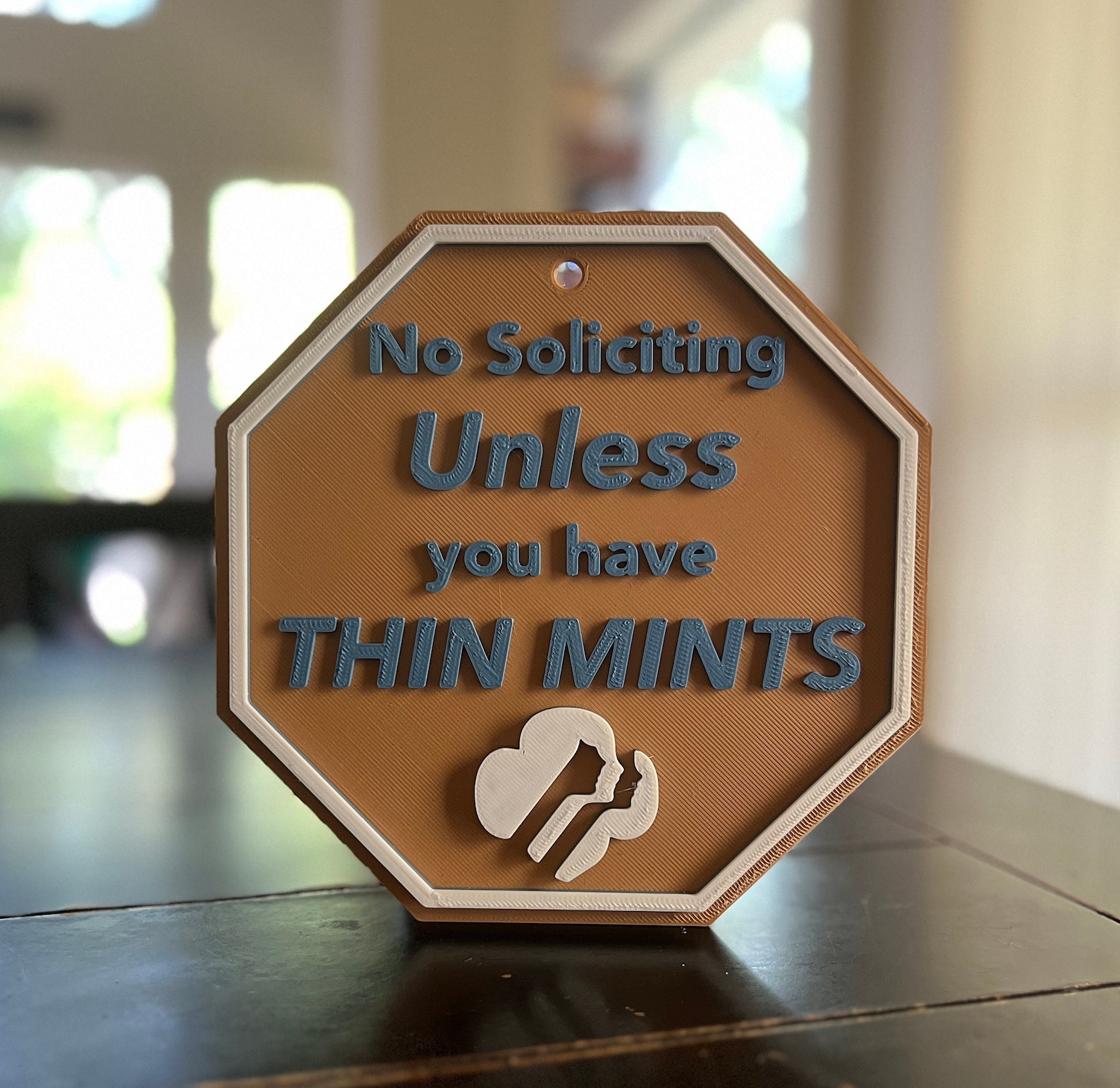 Girl Scout Thin Mints No Soliciting Sign - Etsy