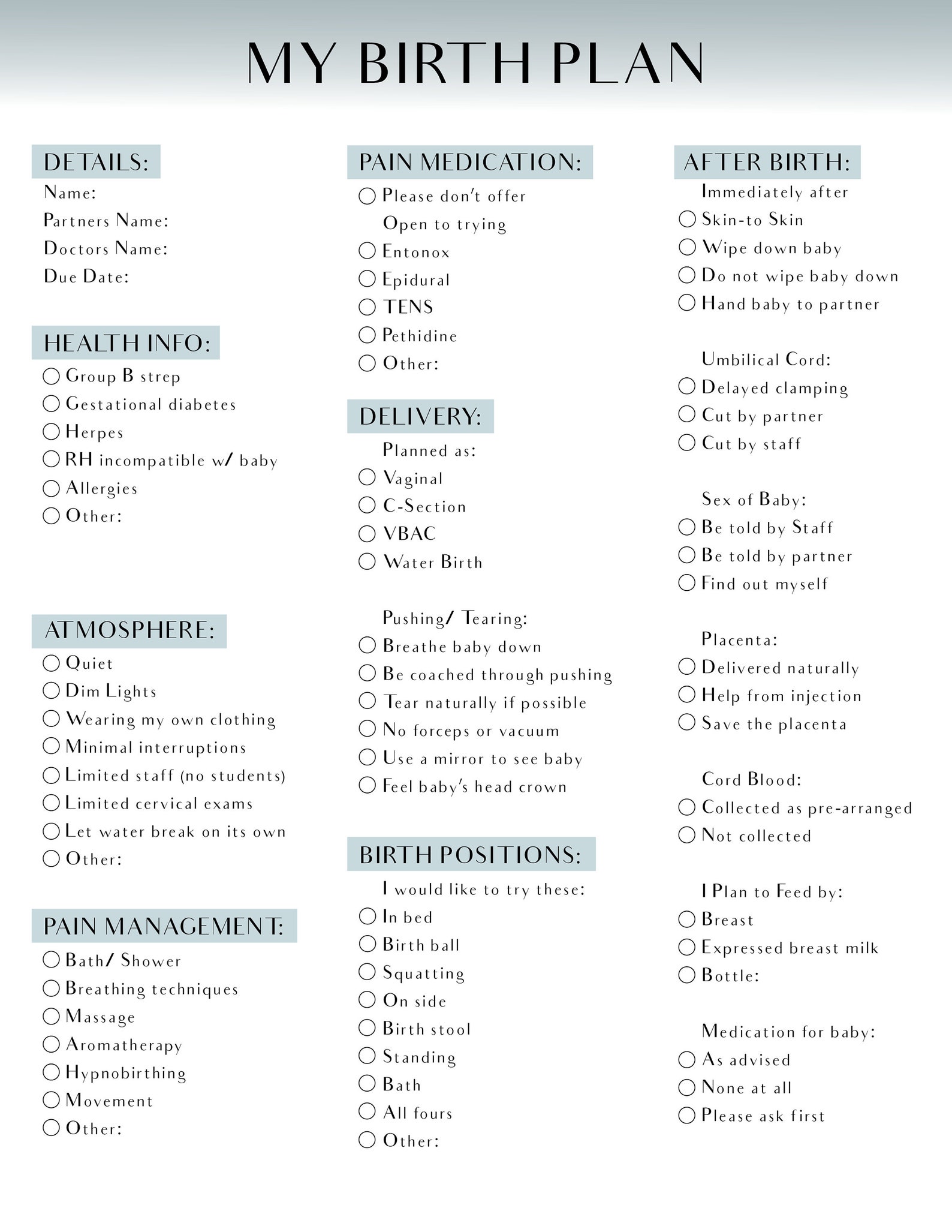 Birth Plan Printable Template - Etsy
