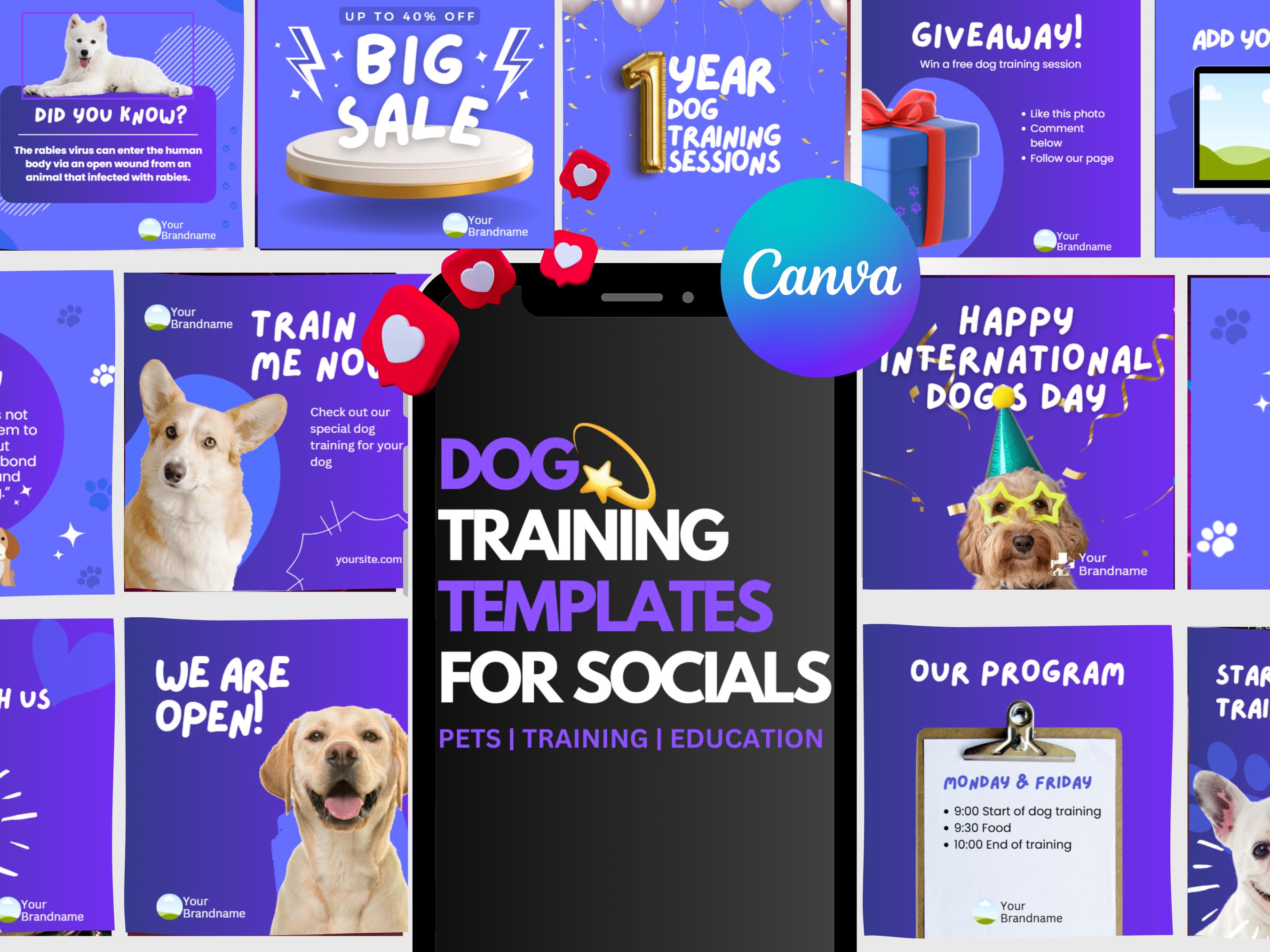 Dog Training Templates | Social Media Posts for Trainers | Instagram ...