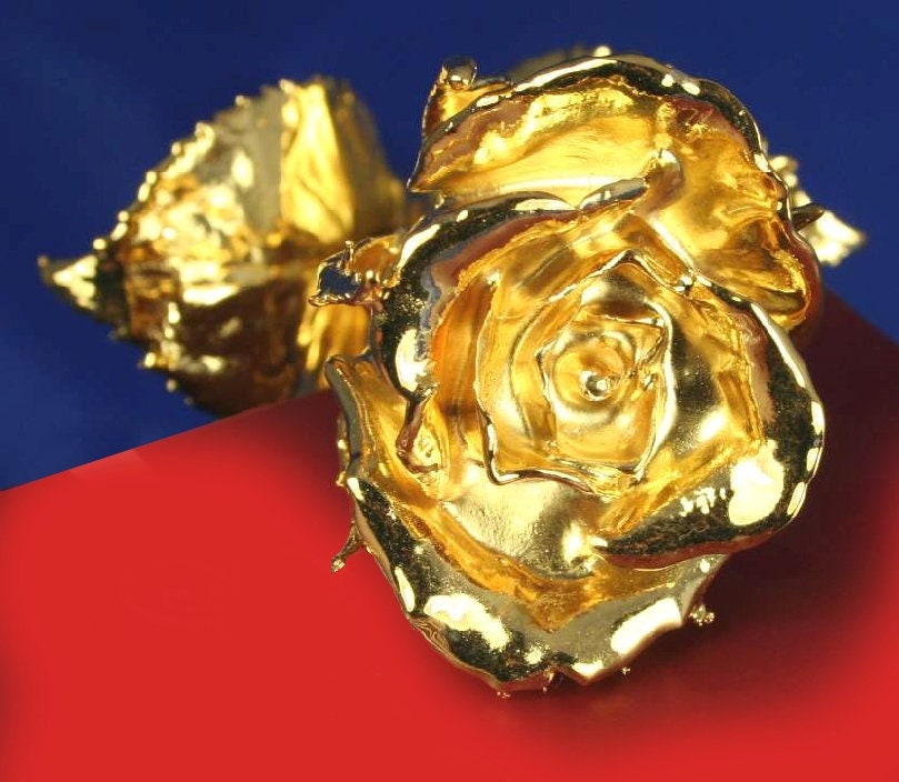 A Real Natural Rose Preserved and Dipped in 24k Pure Gold, Gifts for ...
