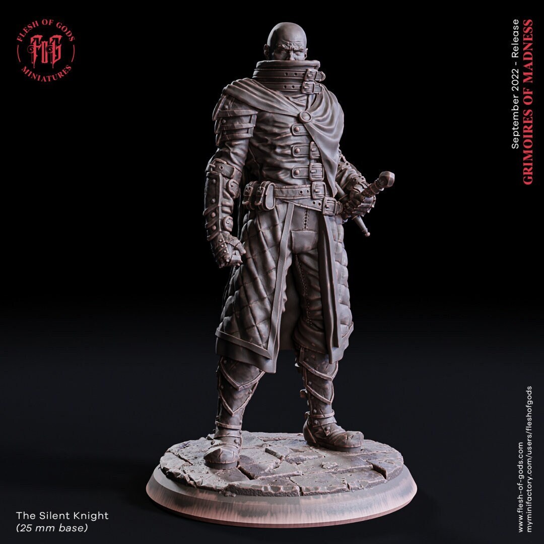 Human Rogue Fighter Miniature 28mm 32mm 75mm Scale 8K Resin 3D Printed Unpainted Tabletop ...