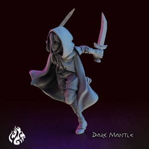 Female Rogue Assassin Miniature 28mm 32mm Scale 8K Resin - Etsy