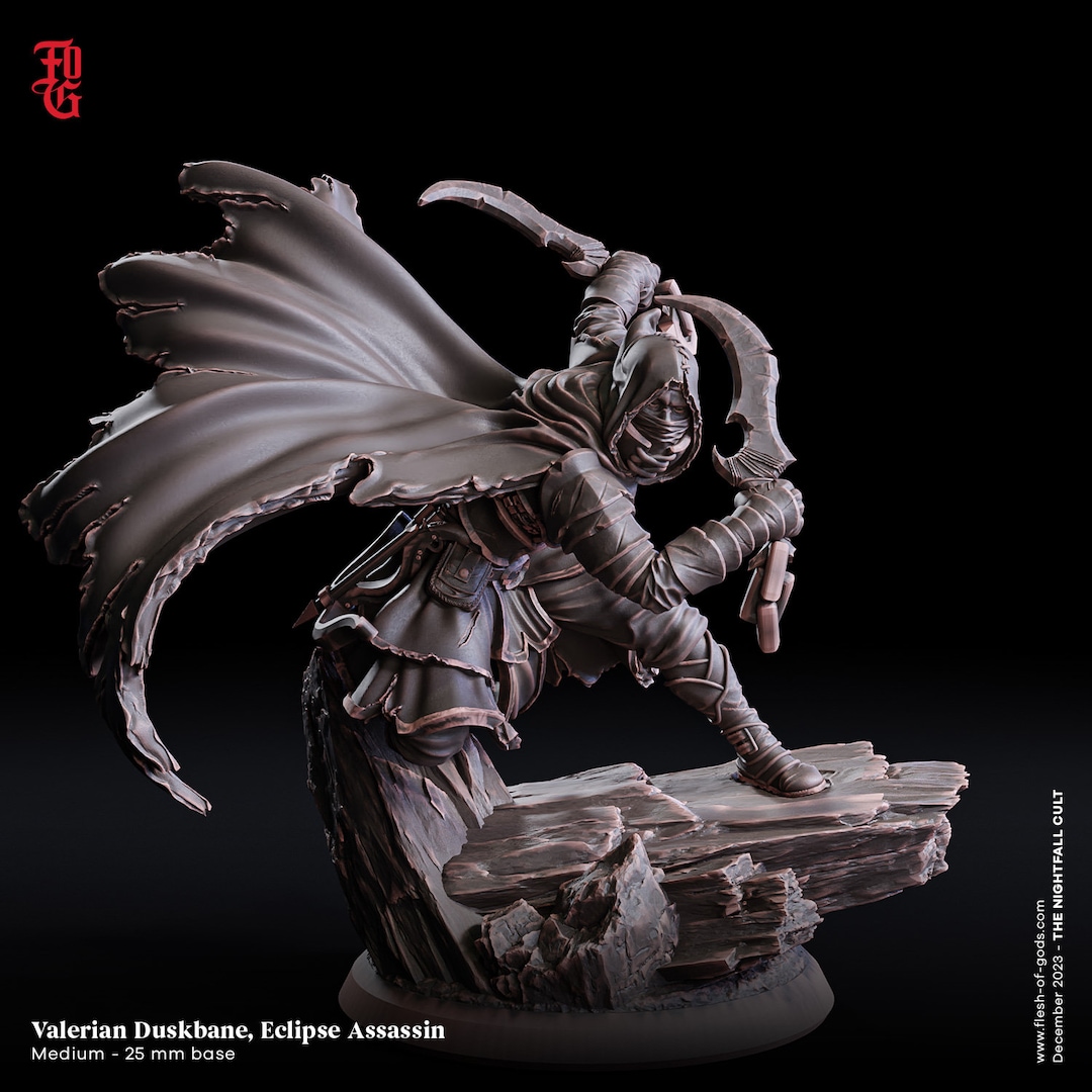Rogue Assassin Thief Miniature 28mm 32mm 75mm Scale 8K Resin 3D Printed ...