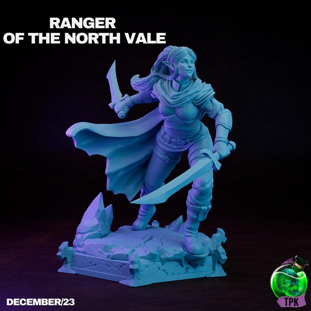Female Elf Rogue Assassin Thief Miniature 28mm 32mm Scale 8K Resin 3D ...