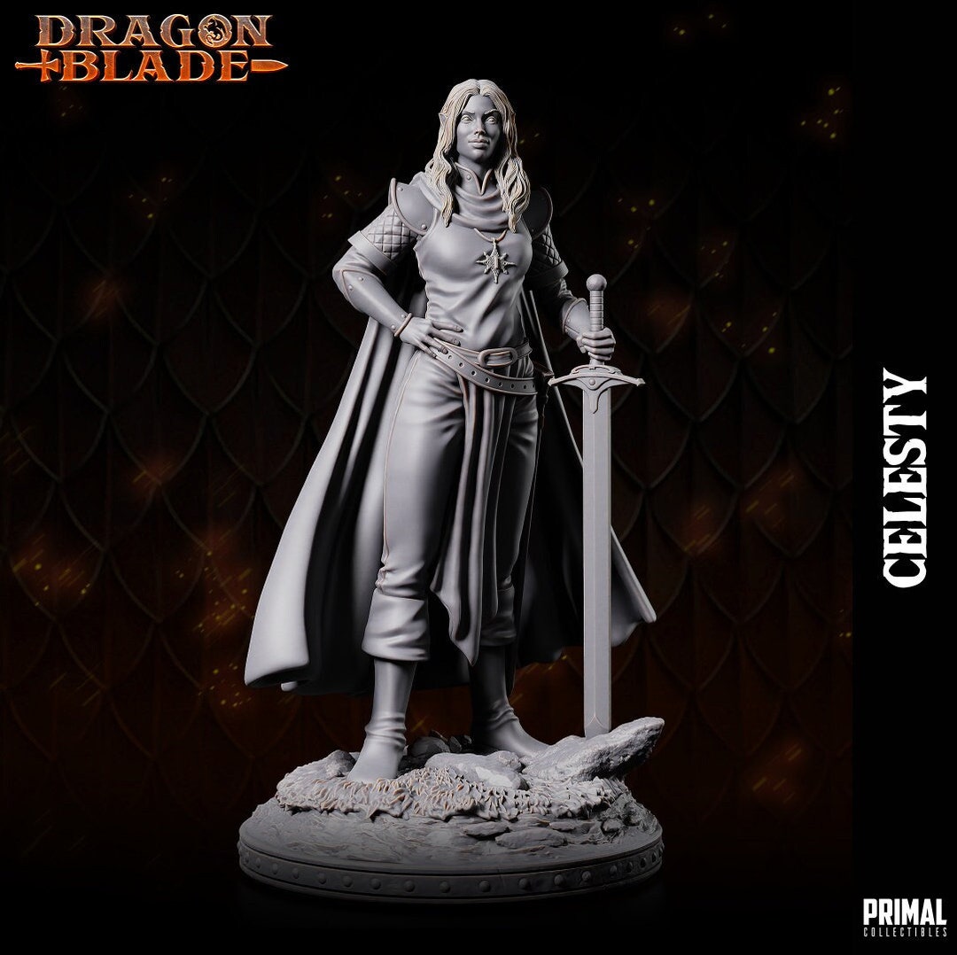 Female Elf Princess Knight Miniature 28mm 32mm 75mm Scale 8K Resin 3D ...