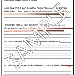 Pink & Say (patricia Polacco) - Assessment - Etsy