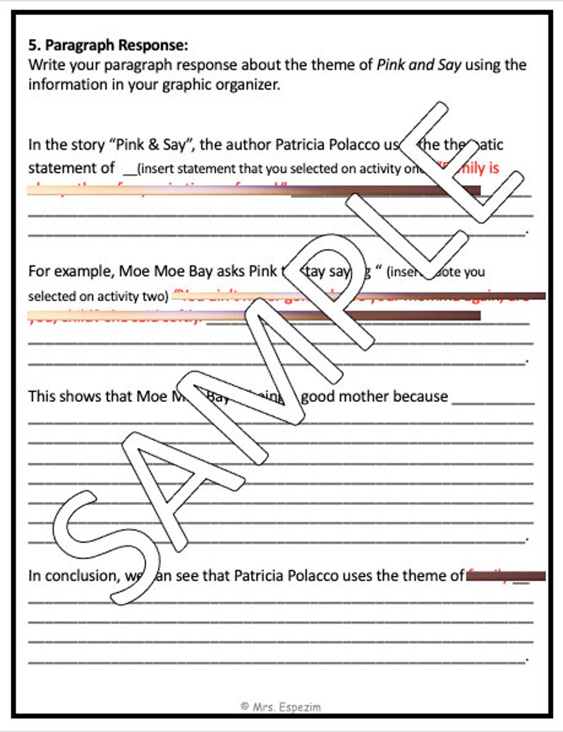 Pink & Say (patricia Polacco) - Assessment - Etsy