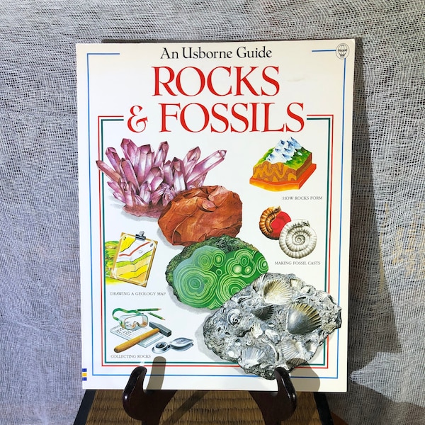 Fossils Rocks - Etsy