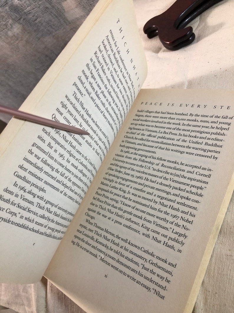 Find Peace in Every Moment: Peace is Every Step (1992) by Thich Nhat ...