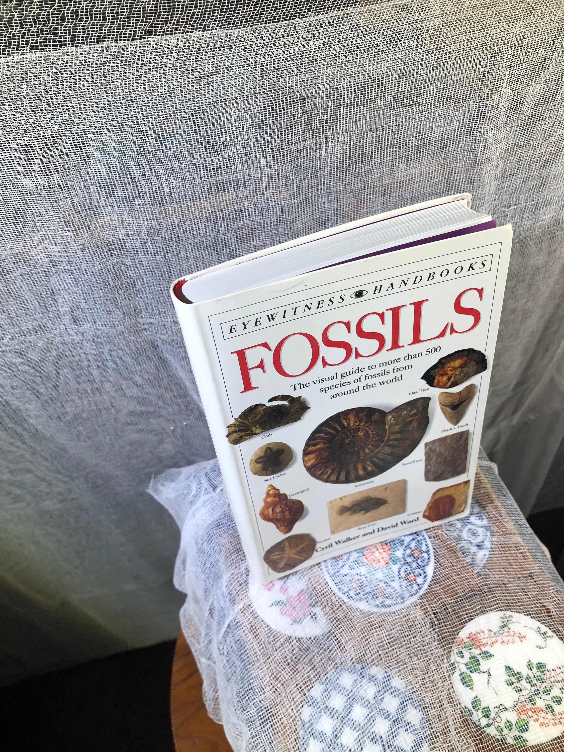 Fossils : the Visual Guide to More Than 500 Species of Fossils From ...