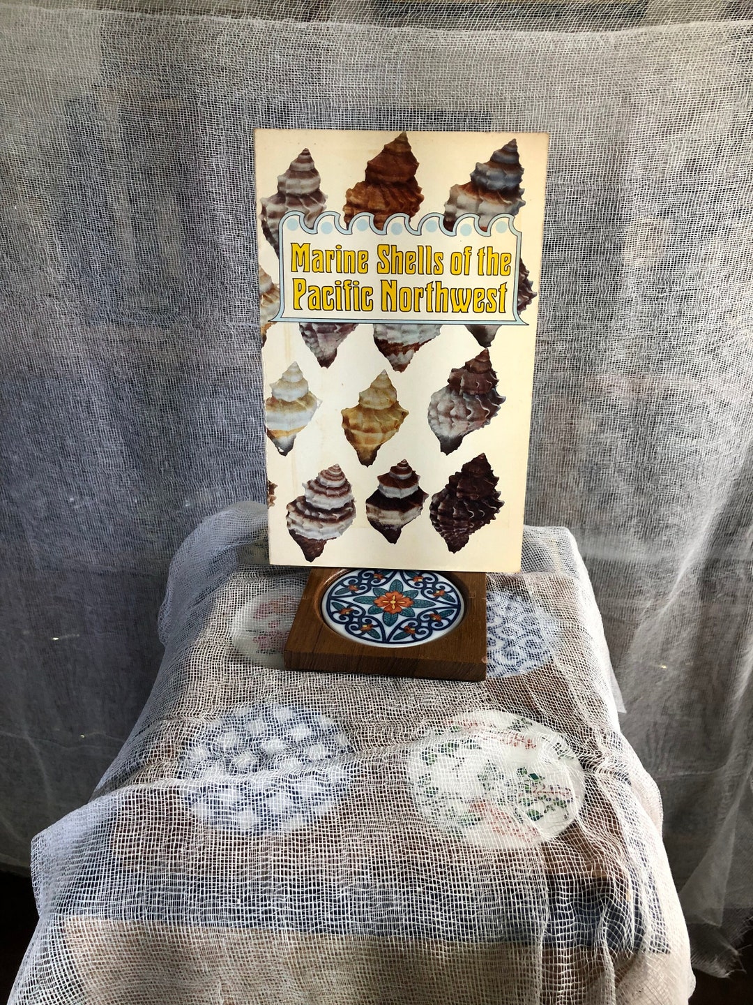 Marine Shells of the Pacific Northwest by Tom Rice 1971, First Edition ...