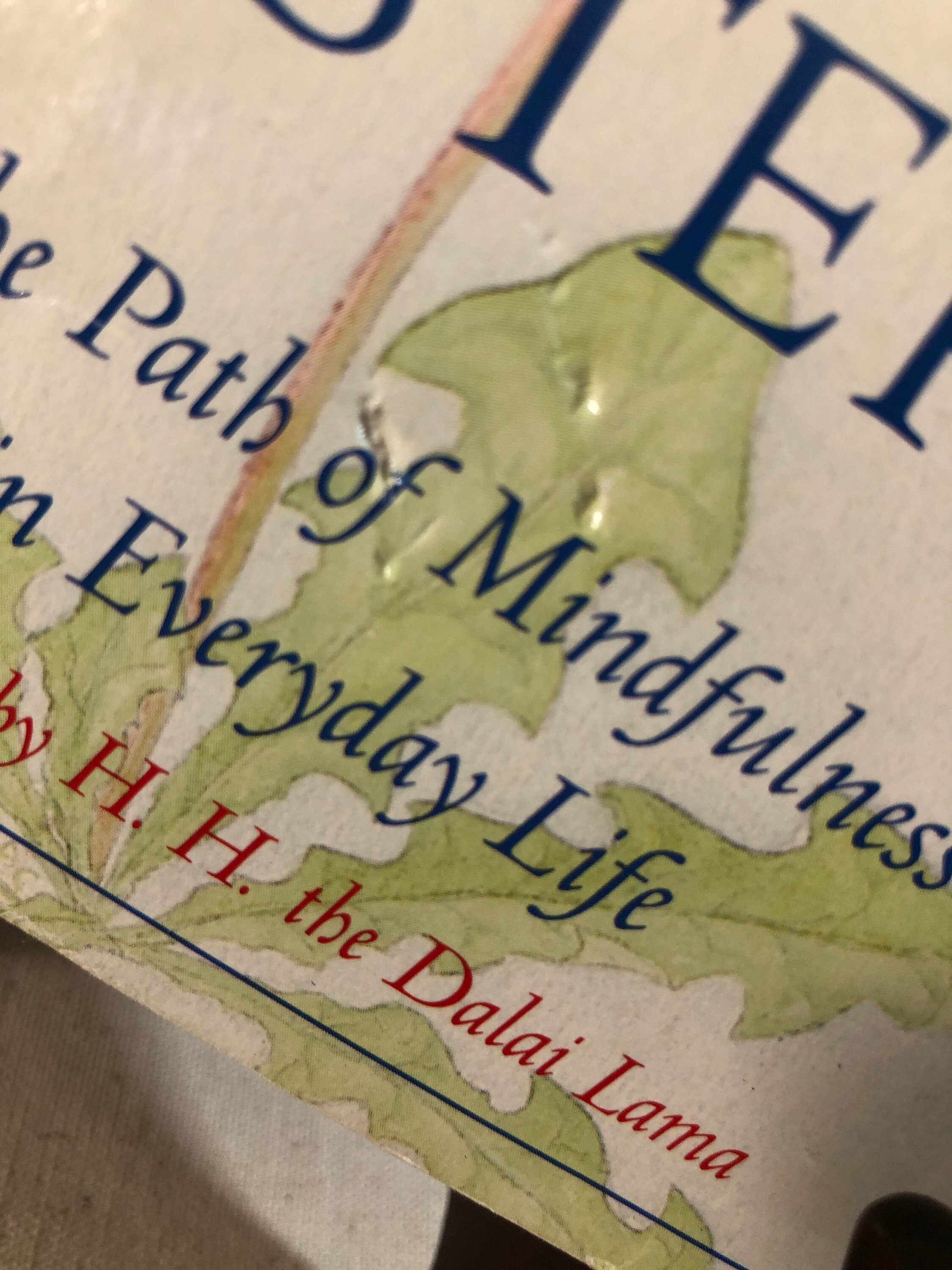 Find Peace in Every Moment: Peace is Every Step (1992) by Thich Nhat ...