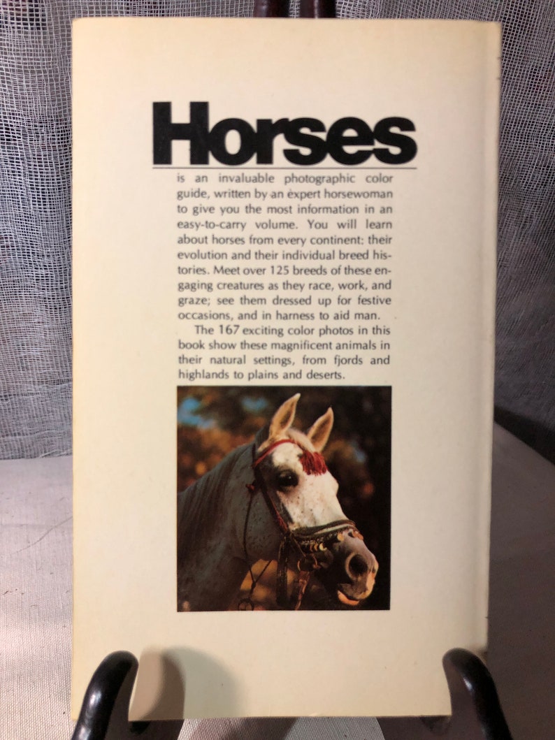 Crescent Color Guide to Horses by Angela Sayer 1980 - Etsy