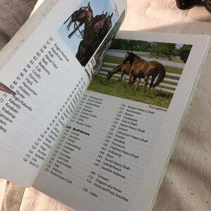 Crescent Color Guide to Horses by Angela Sayer 1980 - Etsy