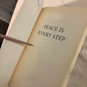 Find Peace in Every Moment: Peace is Every Step (1992) by Thich Nhat ...