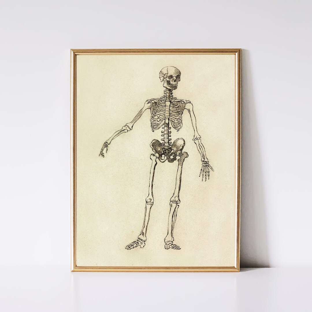 Vintage Skeleton Drawing Digital Download Moody Sketch Wall Art Gothic ...