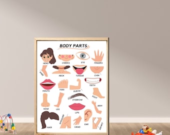 Montessori Body Parts Poster - Etsy