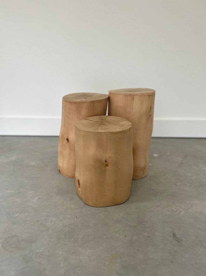 Elegant White Birch Collection Set of Three - Etsy