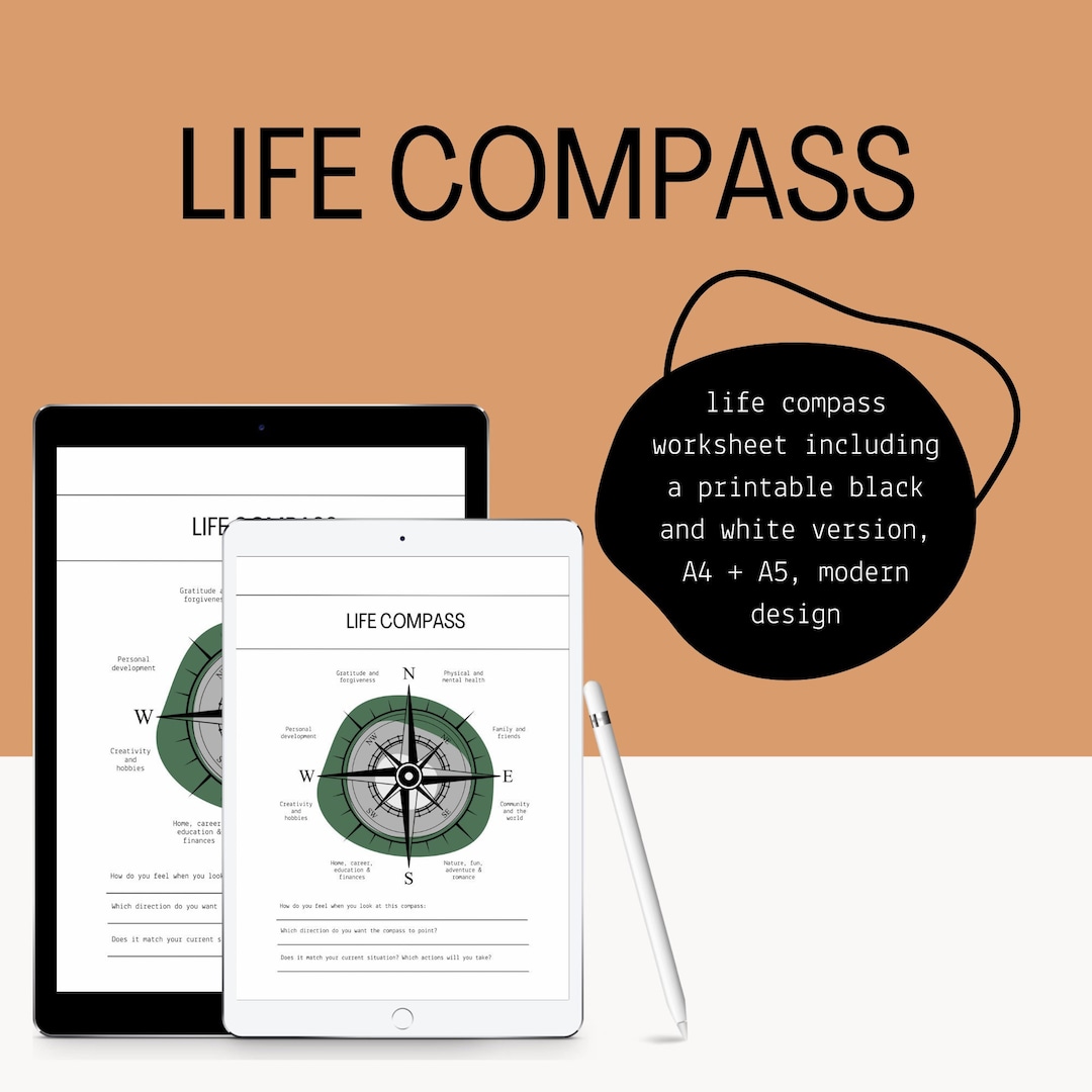 Life Compass Therapy Worksheet Mental Health Therapy - Etsy