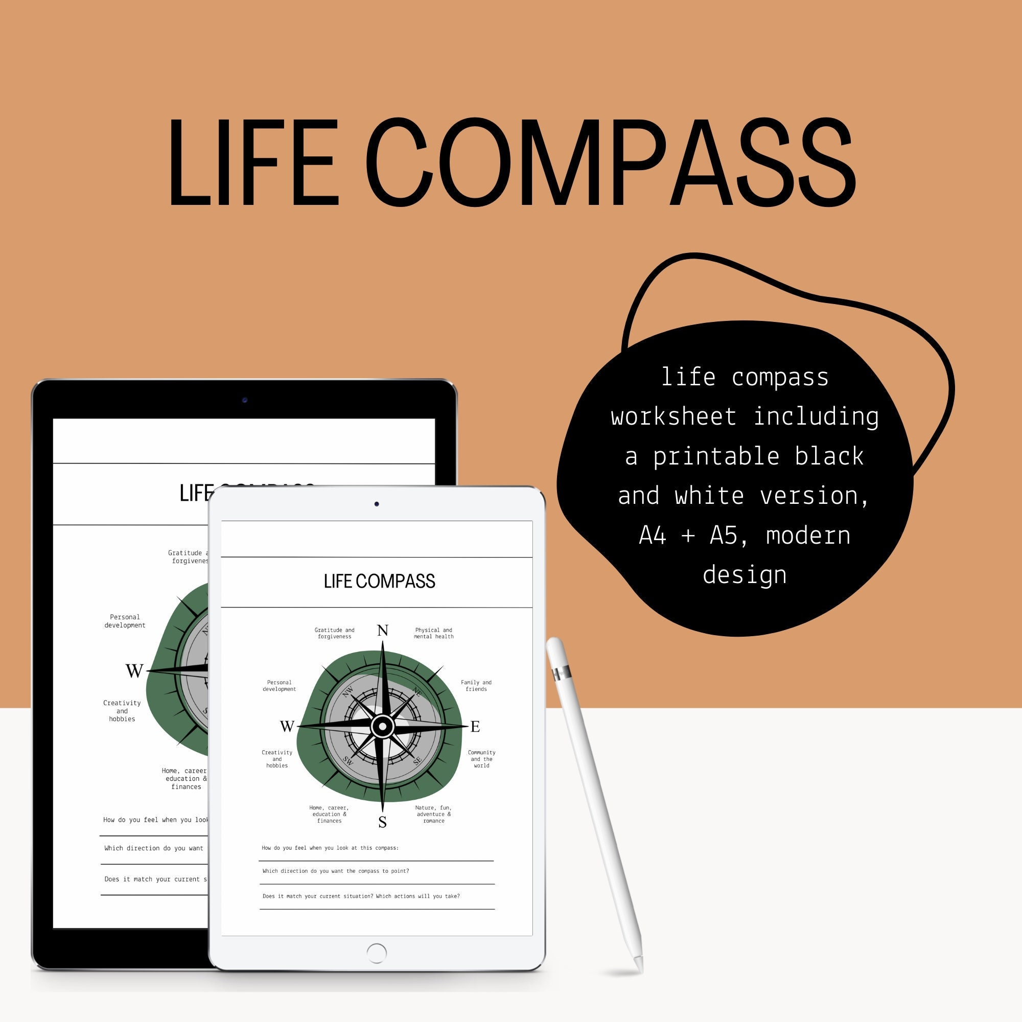 Life Compass Therapy Worksheet Mental Health Therapy - Etsy