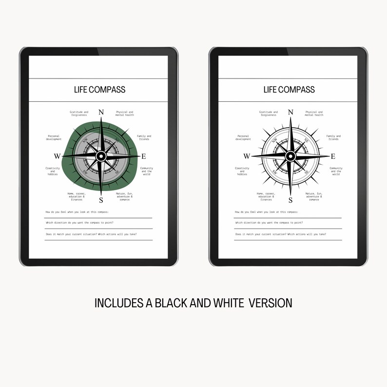 Life Compass Therapy Worksheet Mental Health Therapy - Etsy