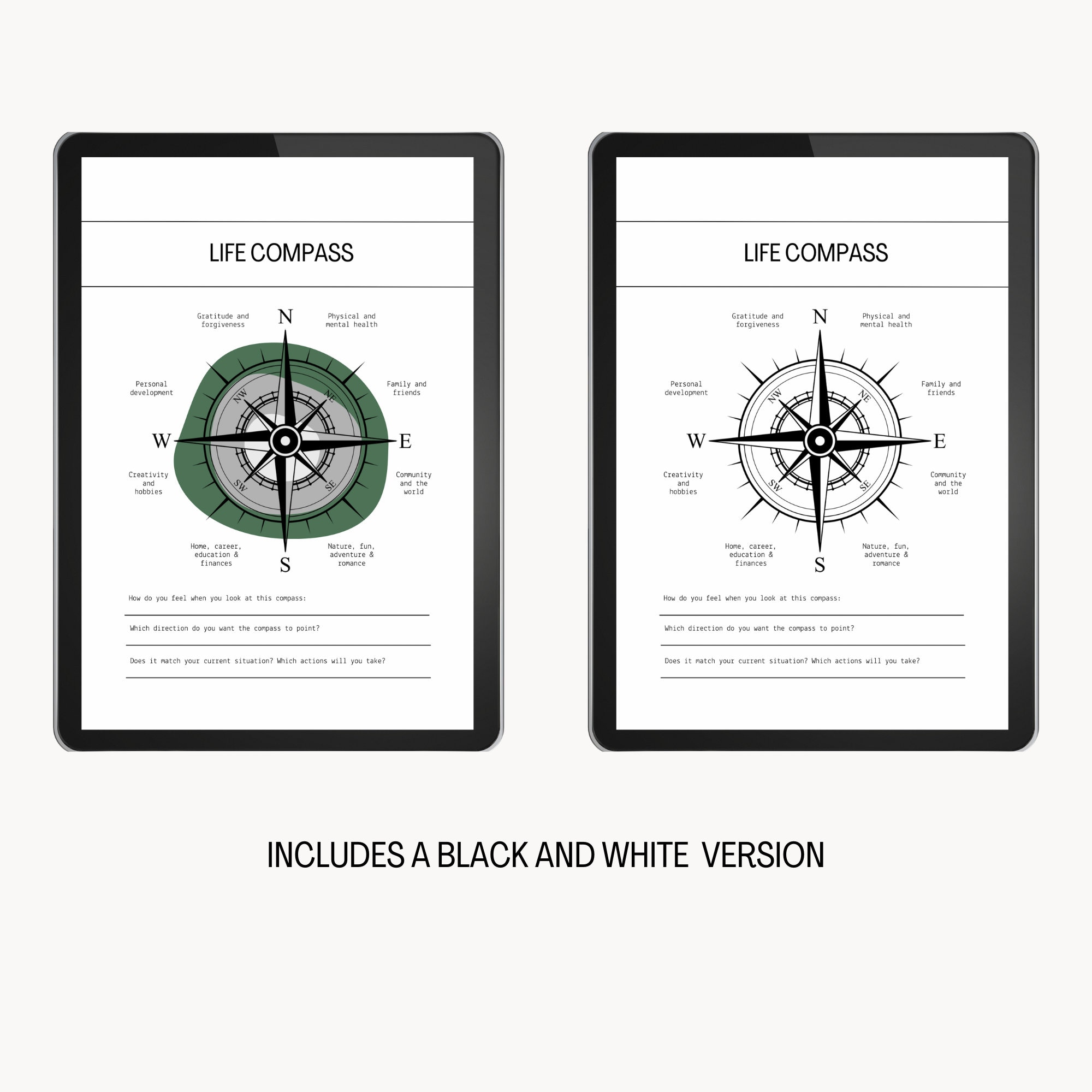 Life Compass Therapy Worksheet Mental Health Therapy - Etsy