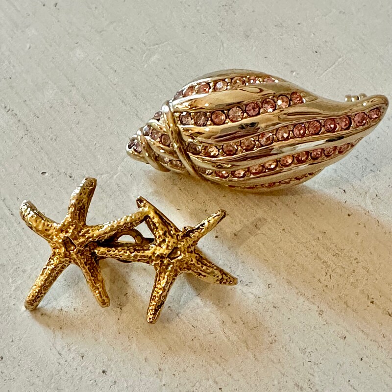 Seashell Brooch - Etsy