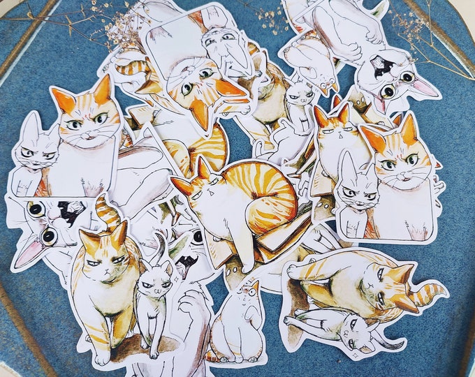 Eleceed Manhwa Cat Stickers Kayden and Kartein - Etsy