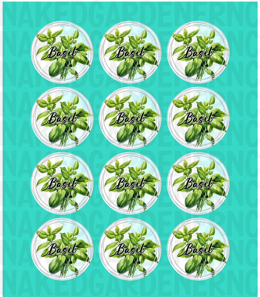 Basil Spice Jar Labels for Regular Mouth Jar or Wide Mouth Jar - Sheet ...