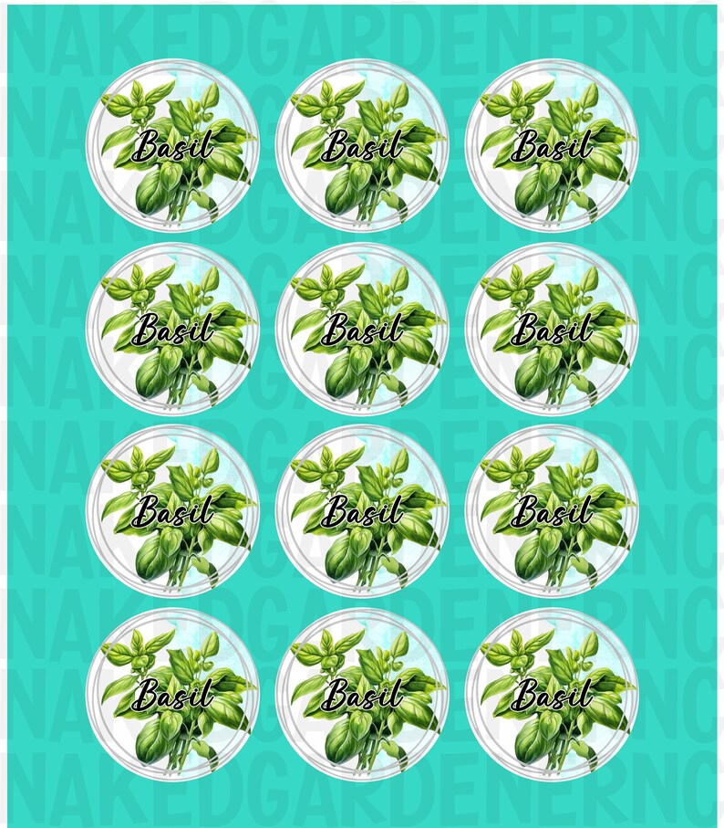 Basil Spice Jar Labels for Regular Mouth Jar or Wide Mouth Jar - Sheet ...