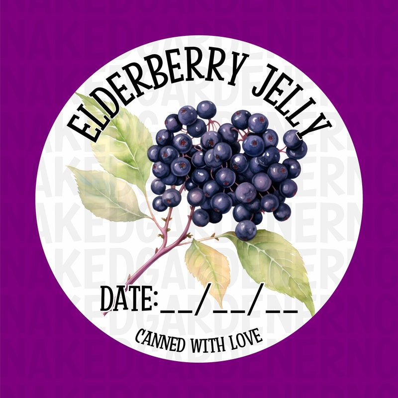 Elderberry - Etsy