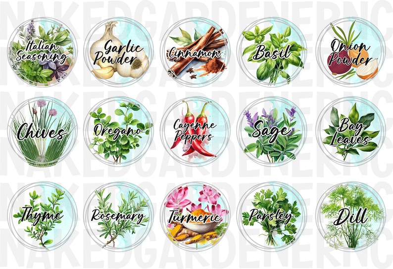Standard Herb Jar Labels for Lids, Glass, or Plastic - SET OF 15 - Herb ...