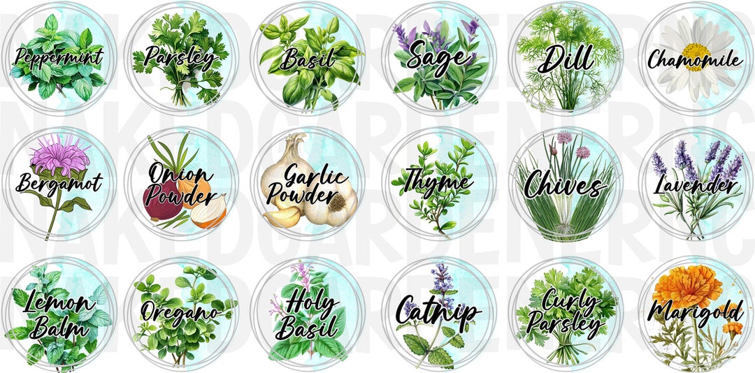 Herb Jar Labels for Lids, Glass, or Plastic - Sheet of 18 - Mason Jar ...