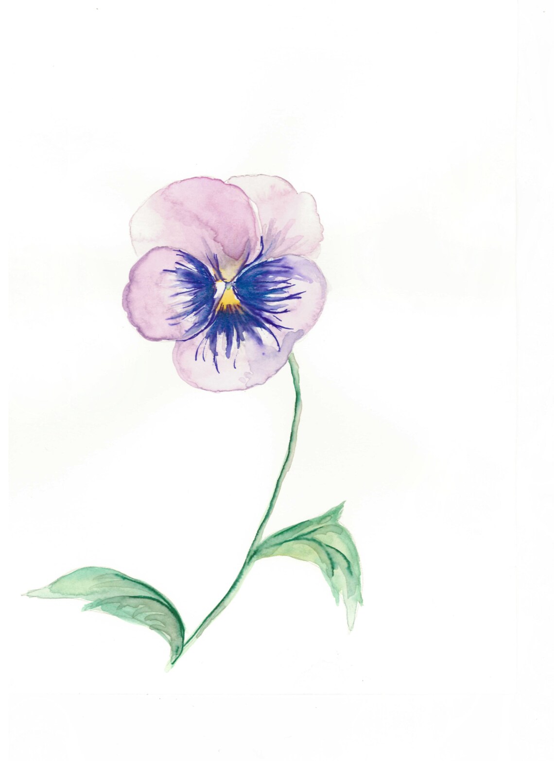 Watercolor Pansy Prints Bundle - Etsy