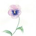 Watercolor Pansy Prints Bundle - Etsy