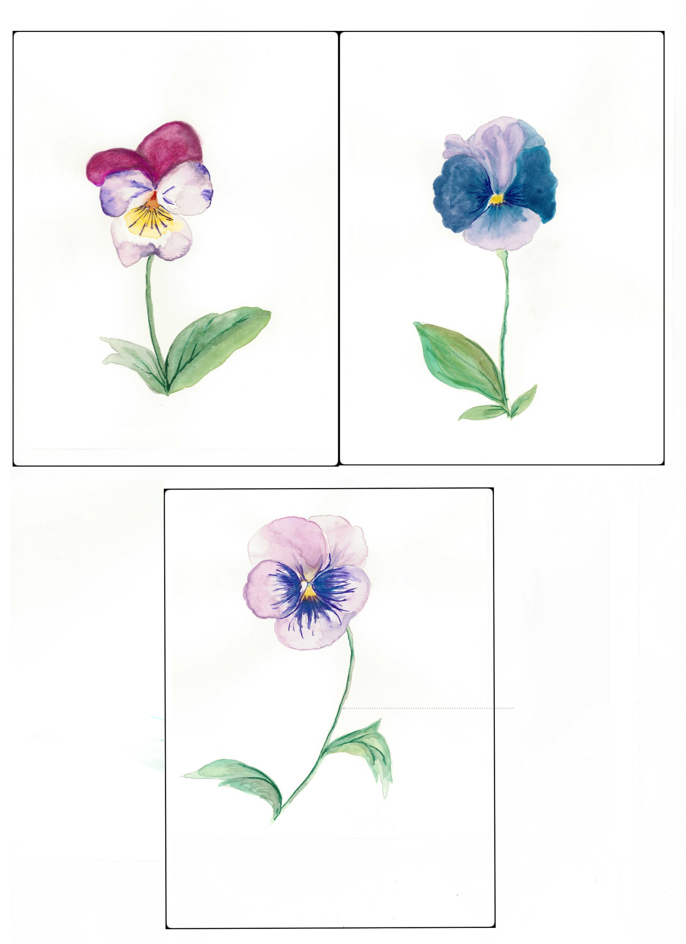 Watercolor Pansy Prints Bundle - Etsy