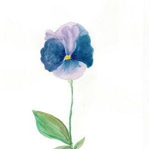 Watercolor Pansy Prints Bundle - Etsy